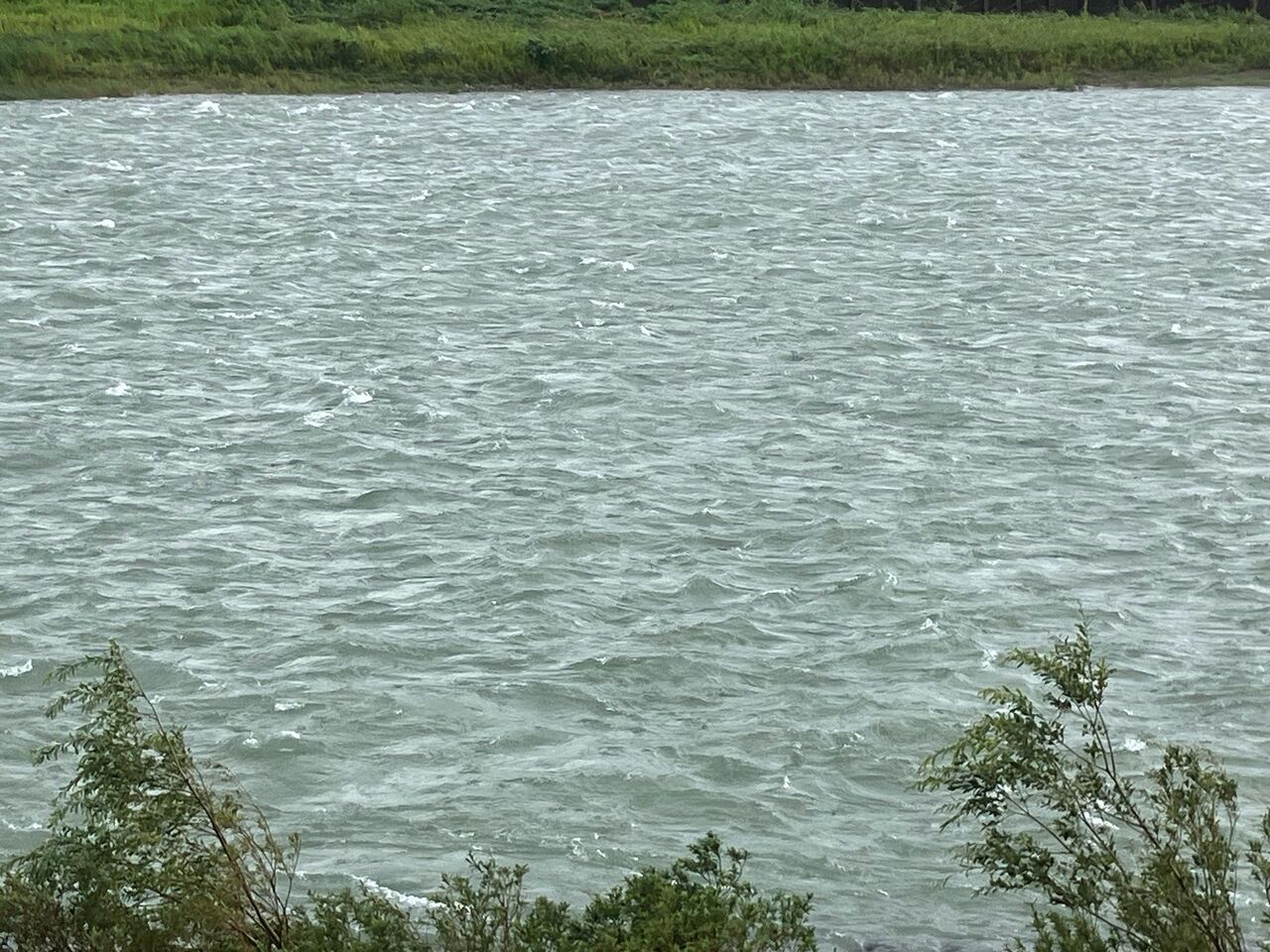 よっしゃさんの釣り日記