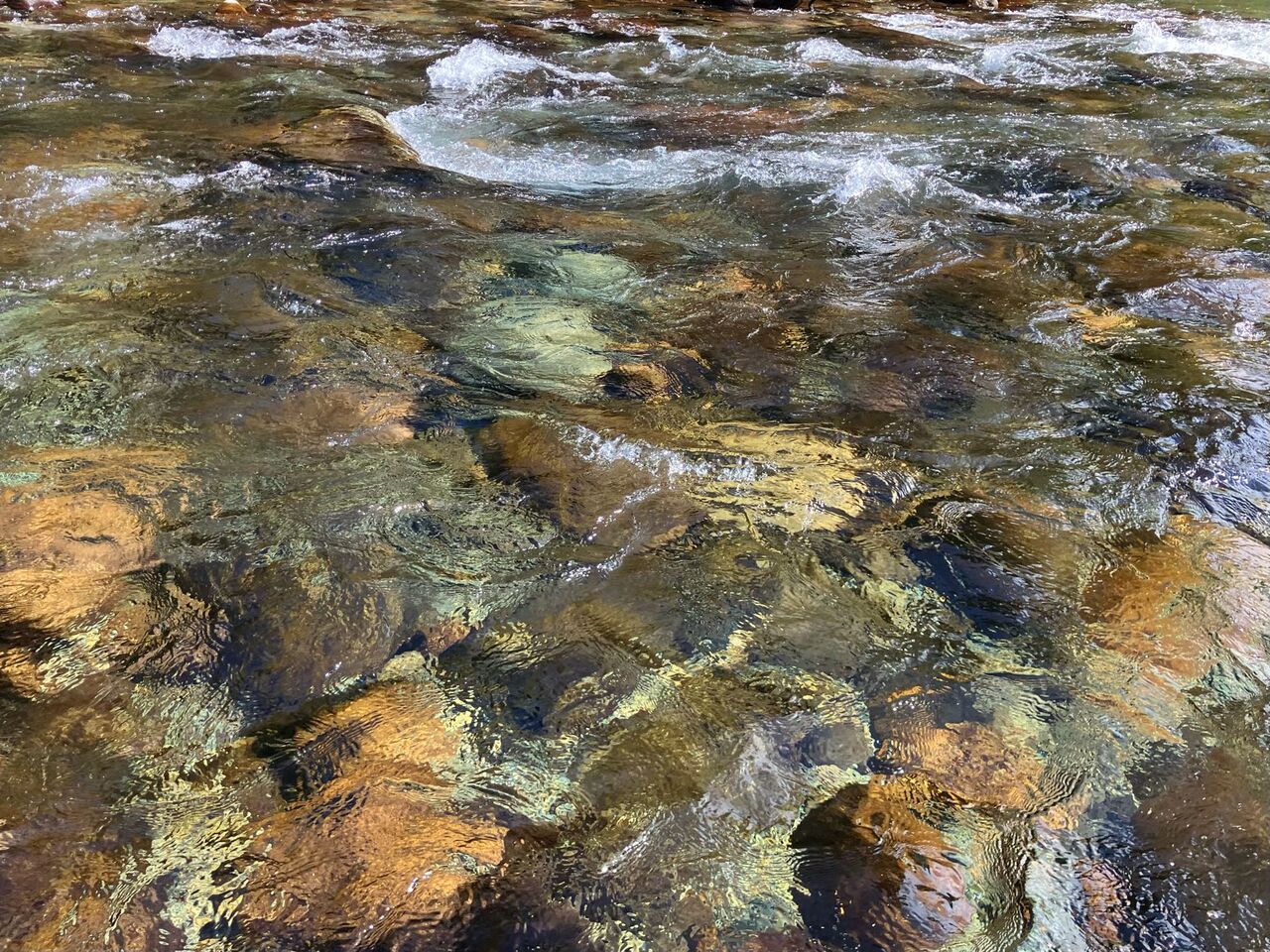 よっしゃさんの釣り日記