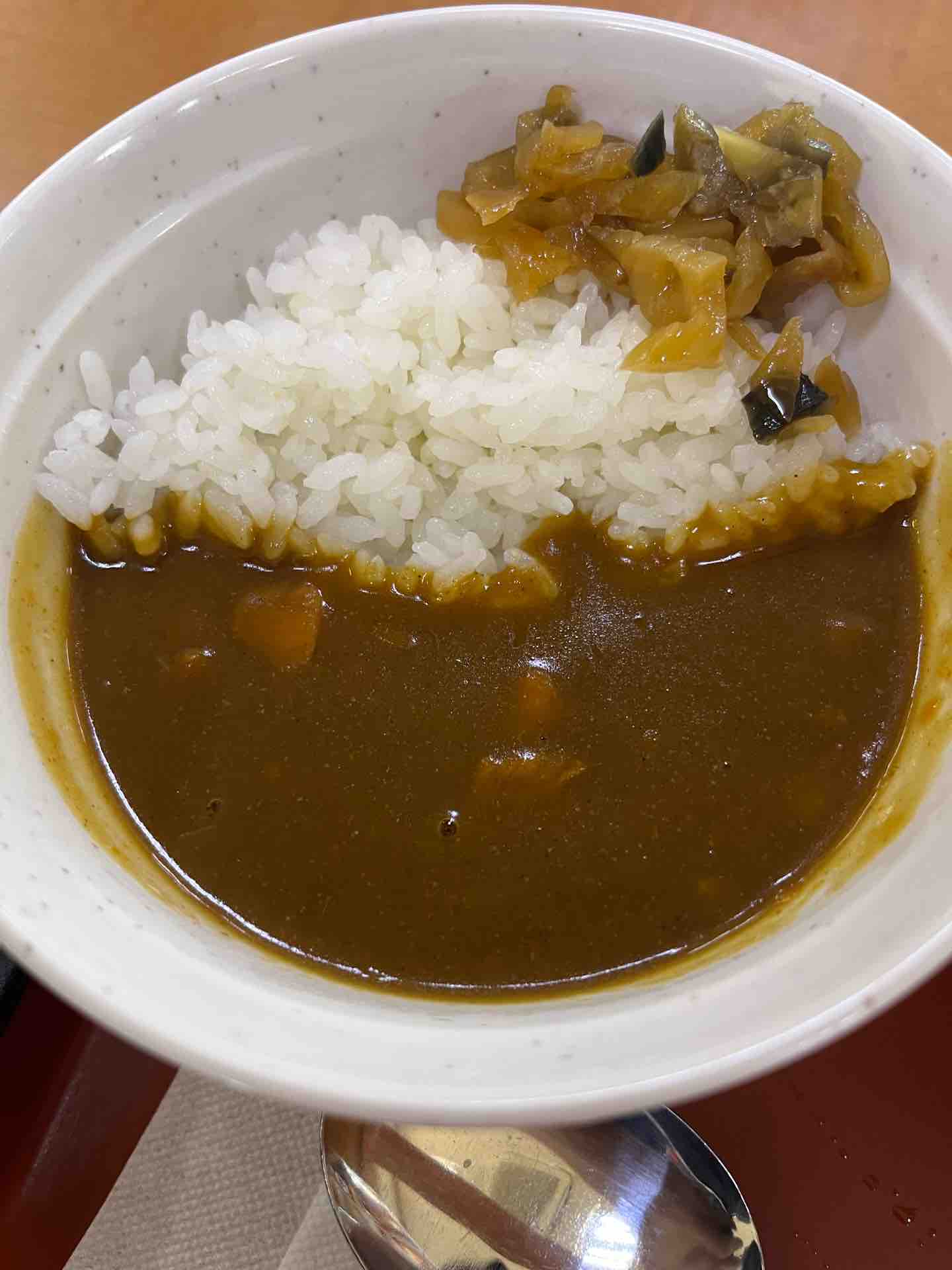 ミニカレー丼 山田うどん : オレはやるヨ