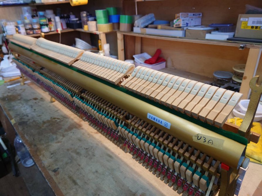 Boston GP 響板ニス塗り3回目と、ヤマハU3Aバットフレンジ交換修理 : 猫好き調律師、杉本由紀（すぎもとよしのり）おやじのつぶやき