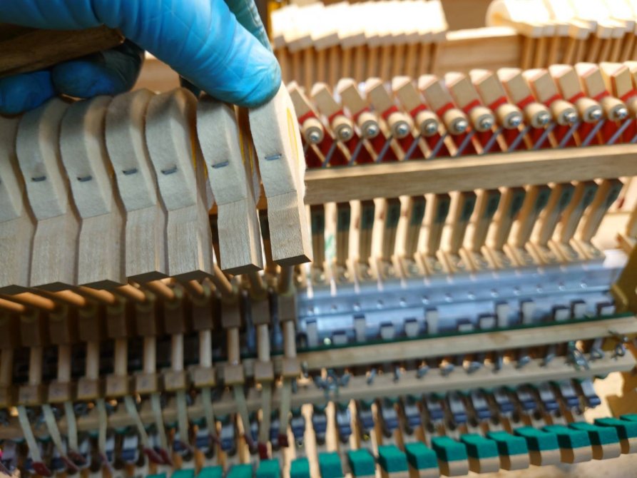 Boston GP 響板ニス塗り3回目と、ヤマハU3Aバットフレンジ交換修理 : 猫好き調律師、杉本由紀（すぎもとよしのり）おやじのつぶやき