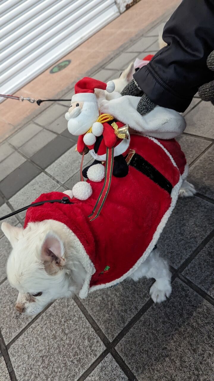 yuchip : 2022年12月