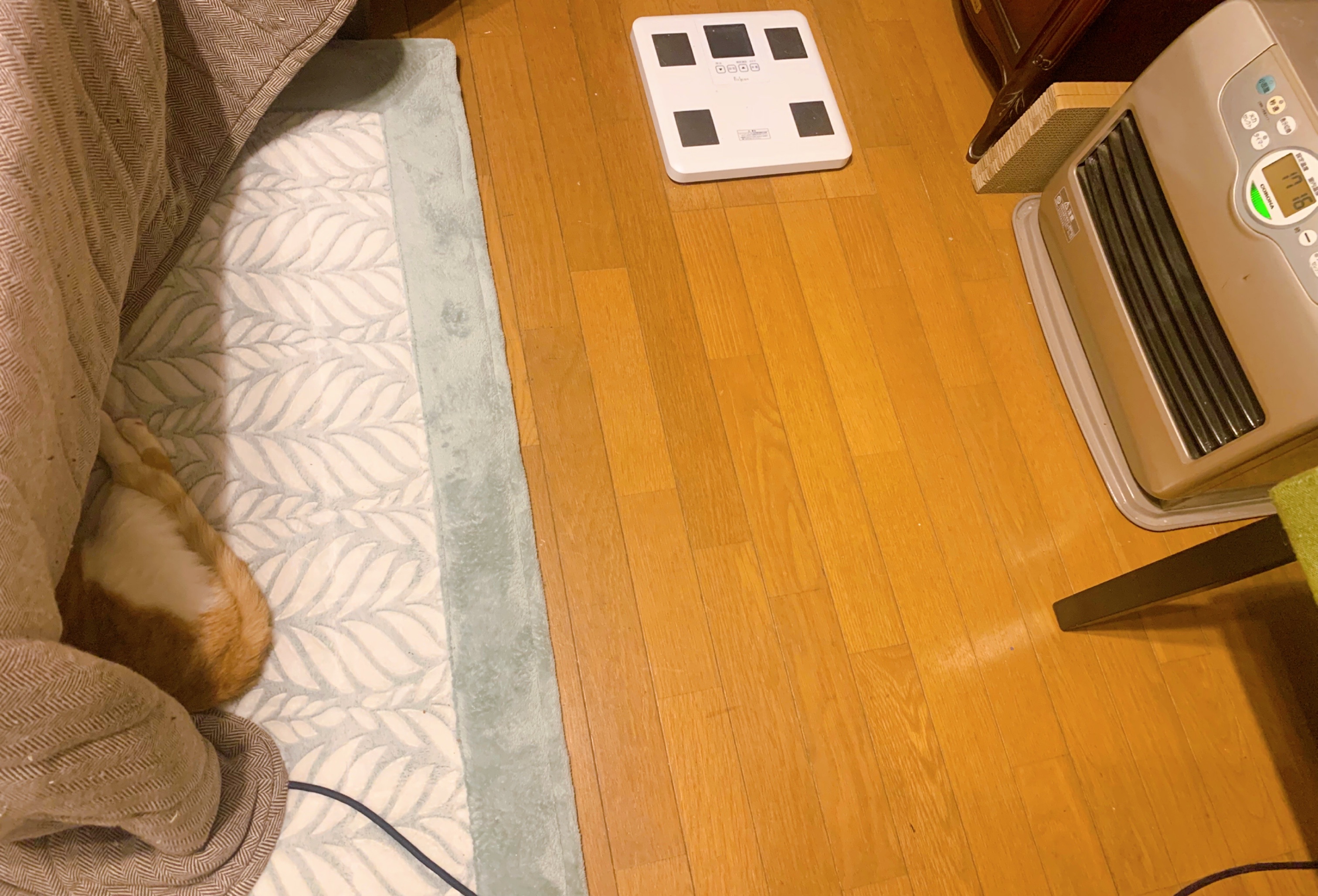 疲れ果てて終わりたい願望 : ふりむけば石川