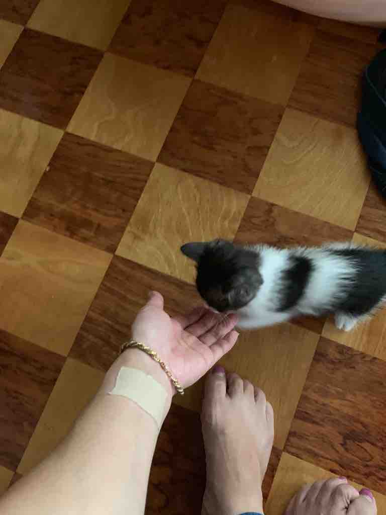 2019/06/26 : ふりむけば石川