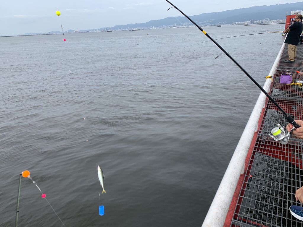 yuminのぼちぼち日記 : 2021年09月19日