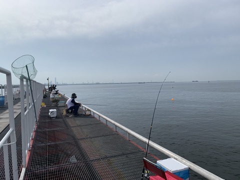 yuminのぼちぼち日記 : 2021年09月19日