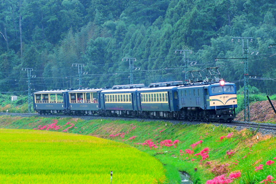 EF58【97㉔】157+トロッコ : NEVER CHANGE