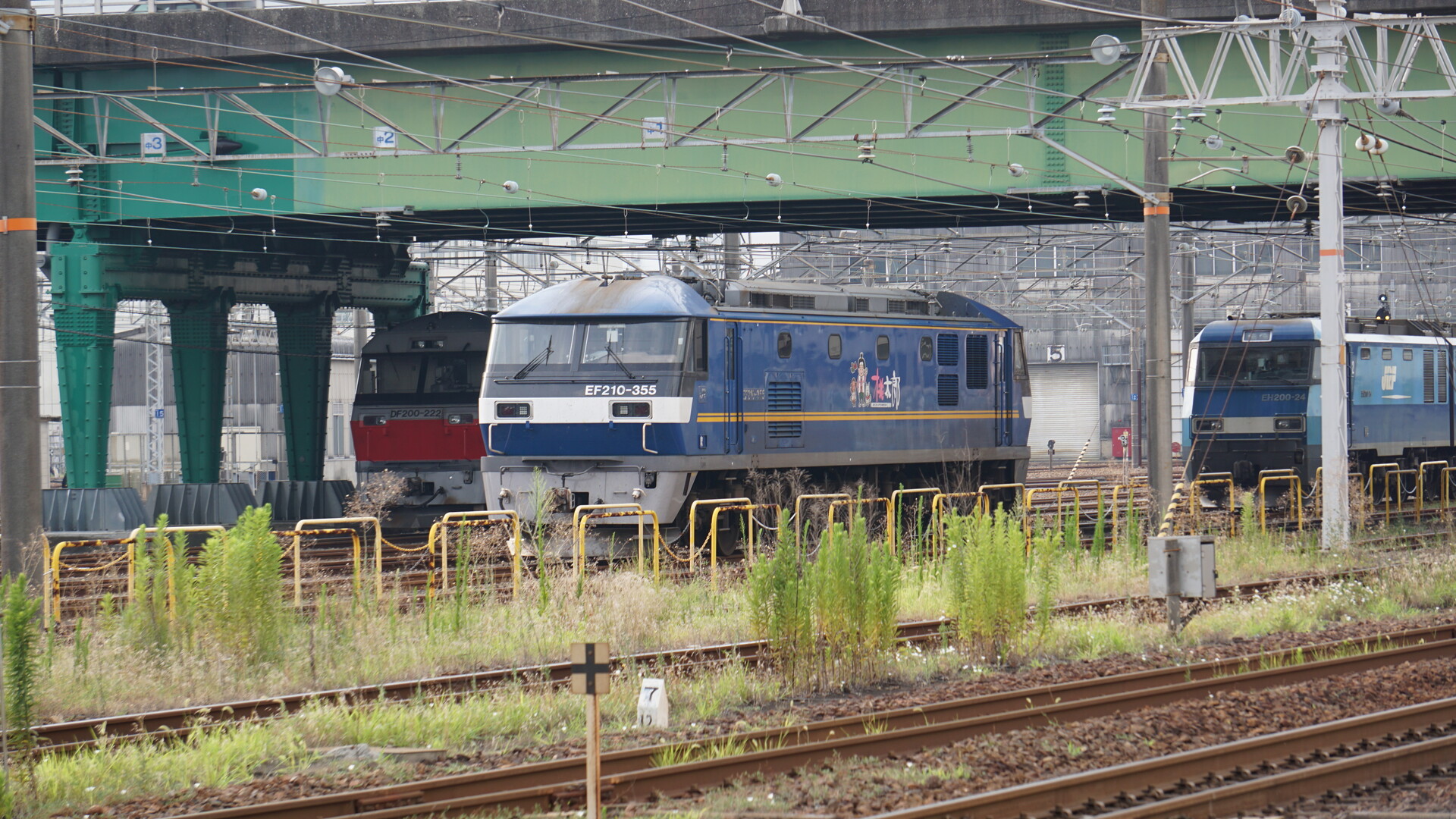 2025年8月4日 今朝の写真 EF210-313＋EF510-13 : Rail Scope
