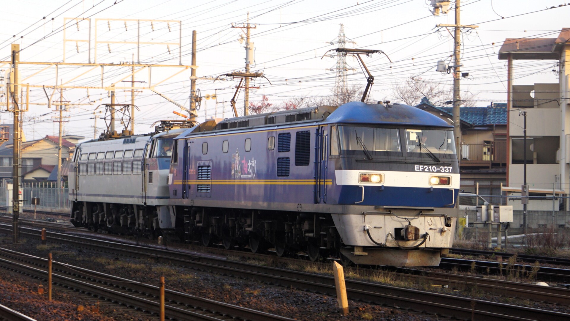 2023年11月28日 今朝の写真 EF210がいっぱい！ : Rail Scope