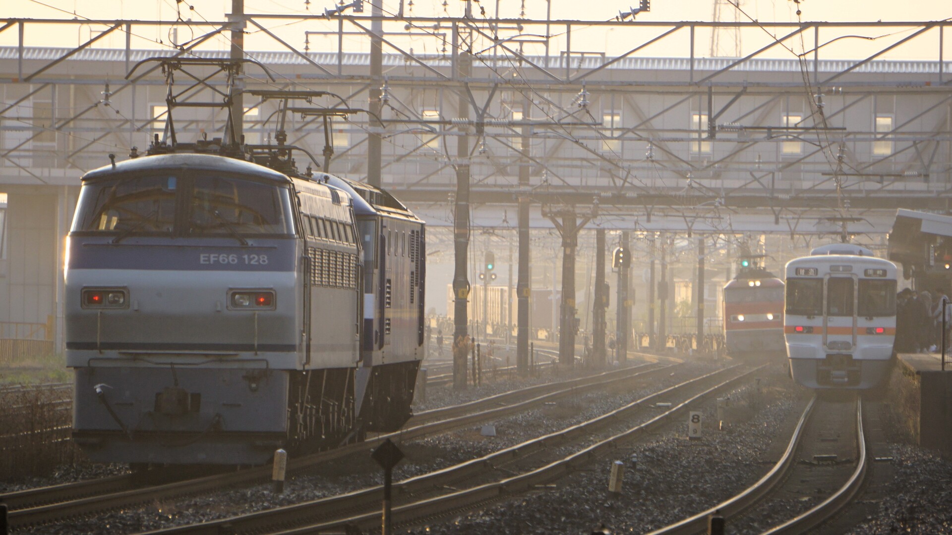 2023年11月28日 今朝の写真 EF210がいっぱい！ : Rail Scope