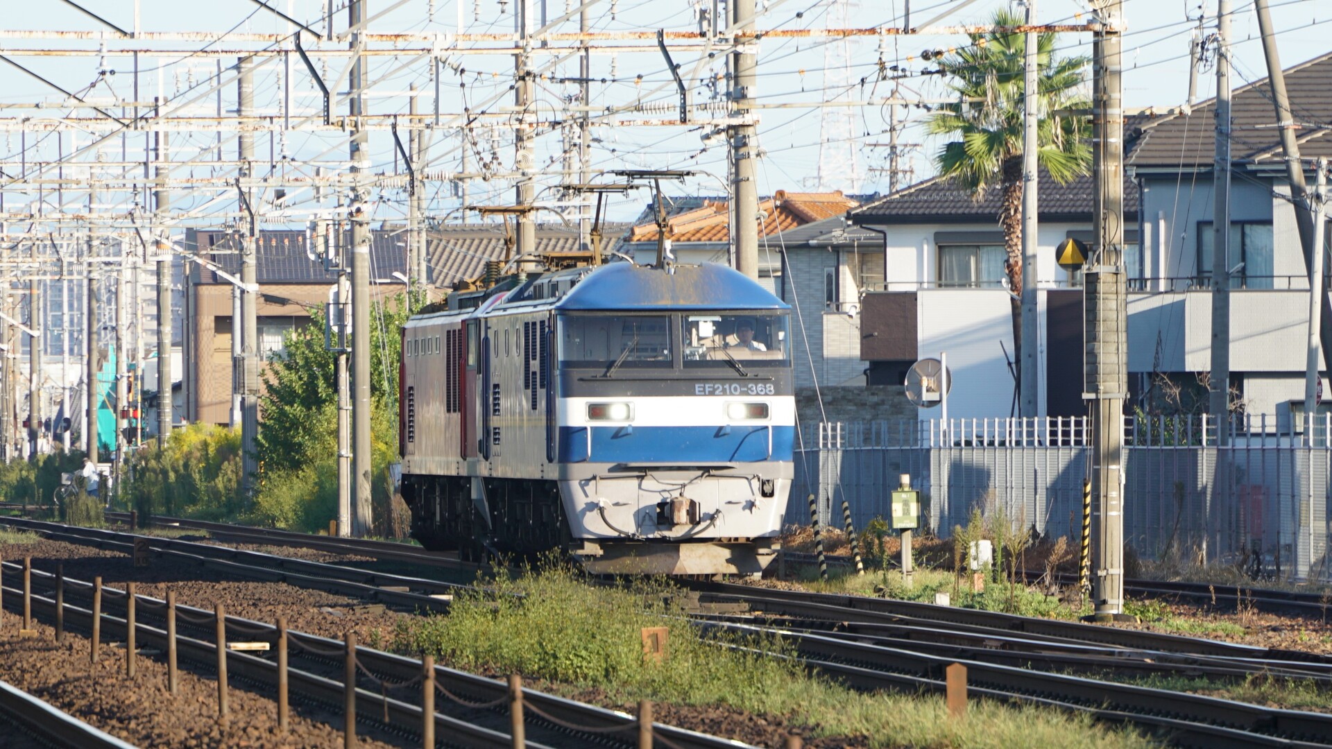 2025年10月17日 今朝の写真 EF510-6とDF200-216 : Rail Scope