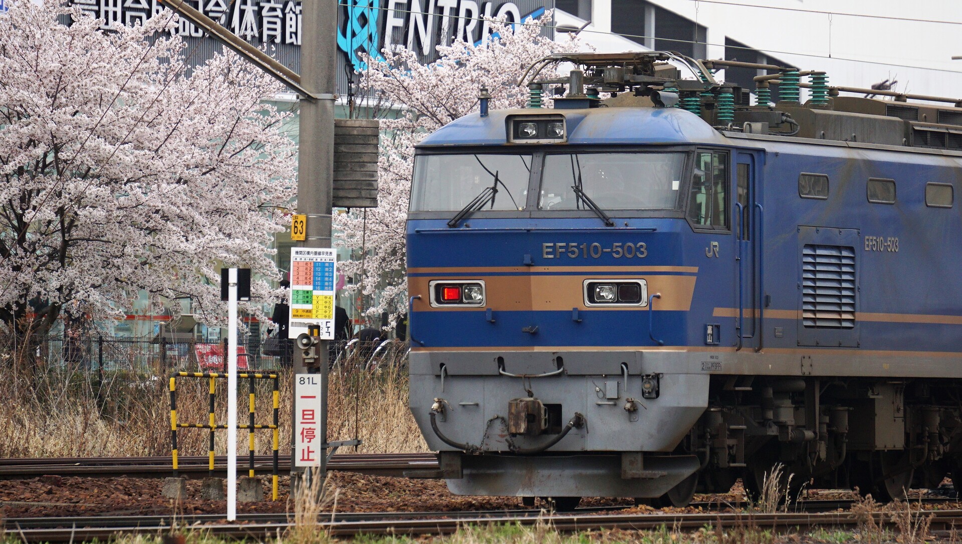 2022年4月1日 今朝の写真 EF510 と桜と桃太郎 : Rail Scope