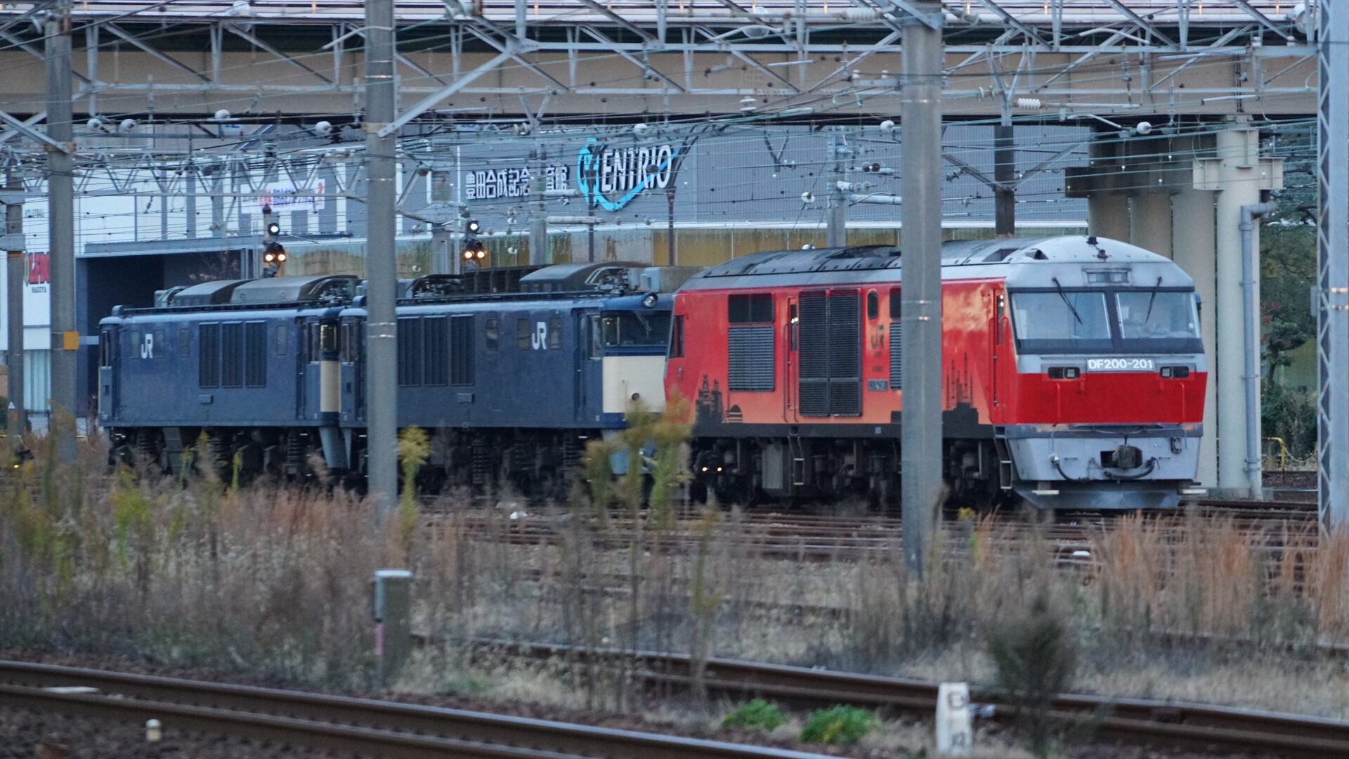 2024年12月13日朝の写真 EF510-23とDF200-205 : Rail Scope