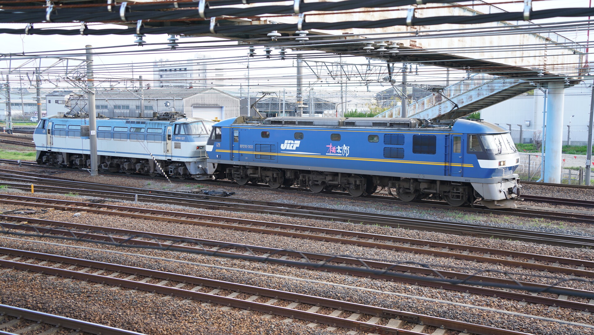 2024年4月12日 今朝の写真 EF210-305とDF200-205 : Rail Scope