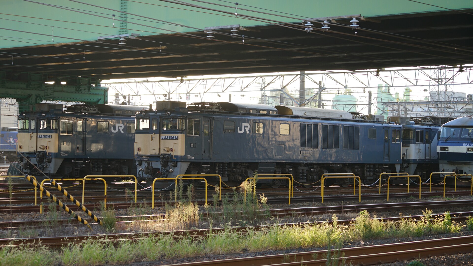2024年10月21日 今朝の写真 EF64-1046とEF510-4 : Rail Scope