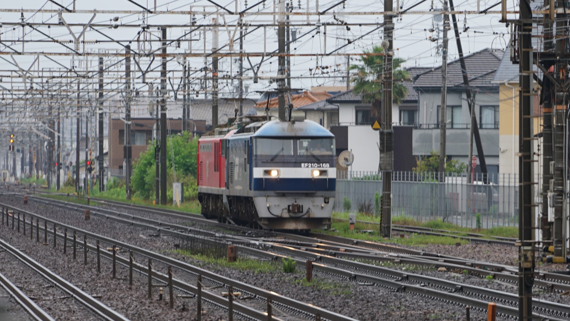 2025年6月24日 今朝の写真 EF510-16と511 : Rail Scope