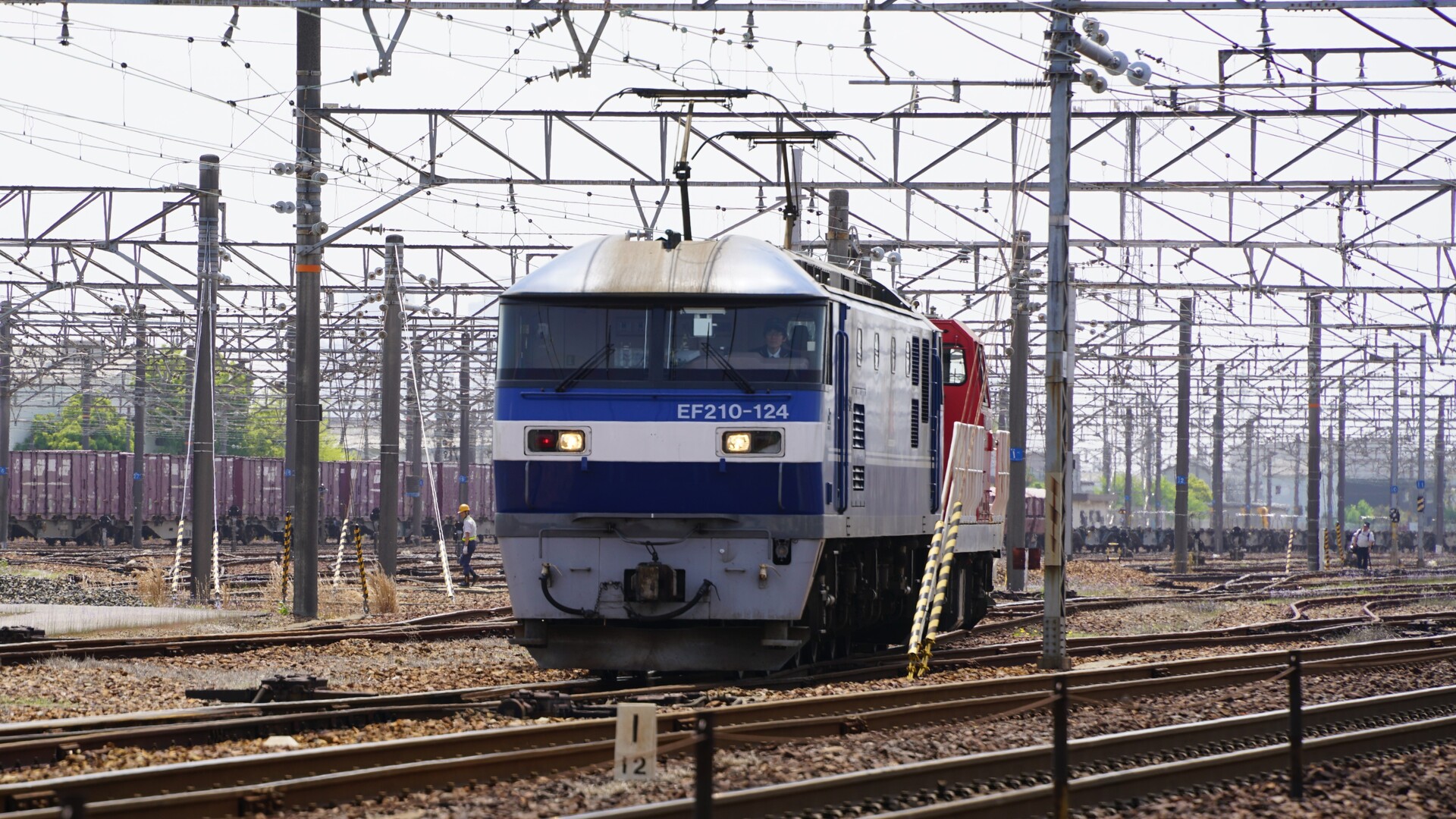 2024年4月17日 EF65-2081 5087レ : Rail Scope