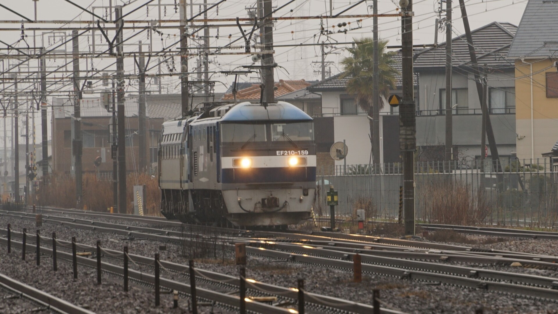 2024年2月19日 今朝の写真 EF66-122とEF510-11 : Rail Scope