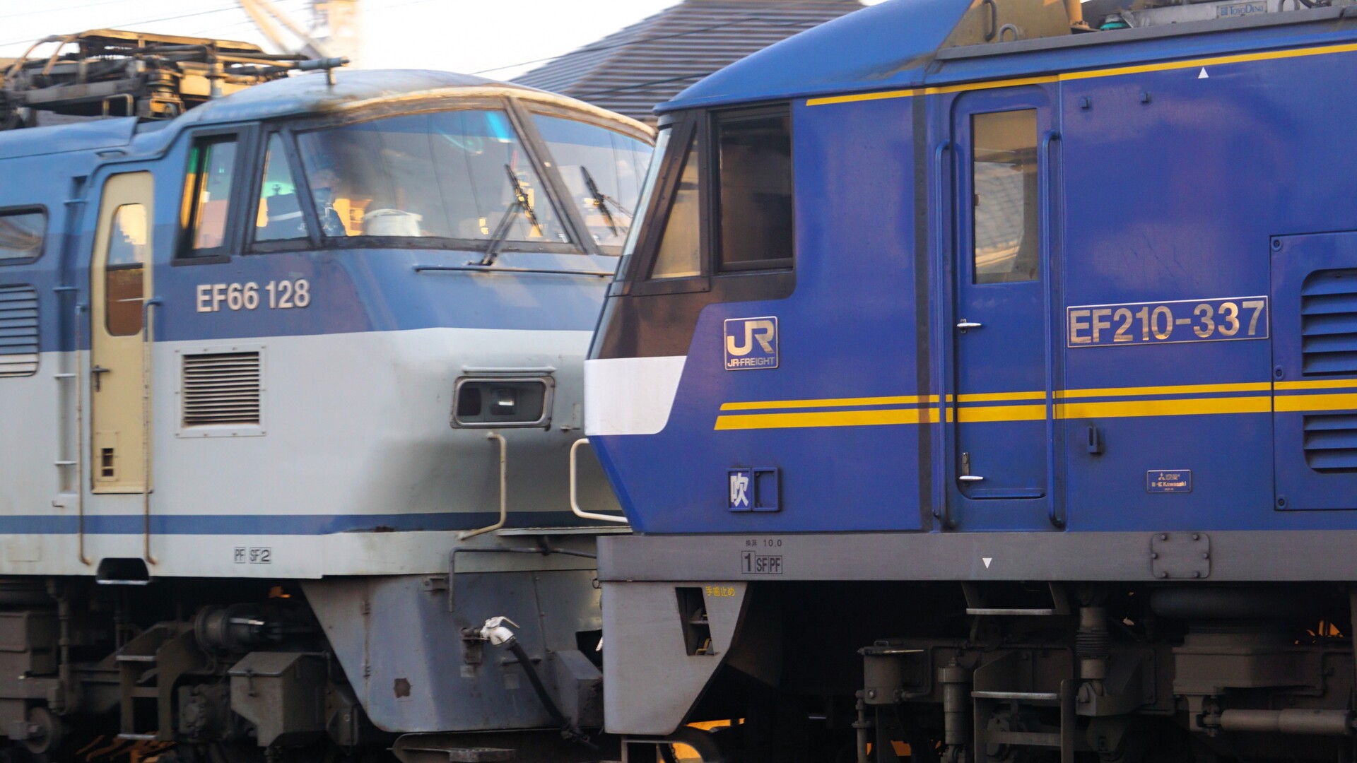 2023年11月28日 今朝の写真 EF210がいっぱい！ : Rail Scope