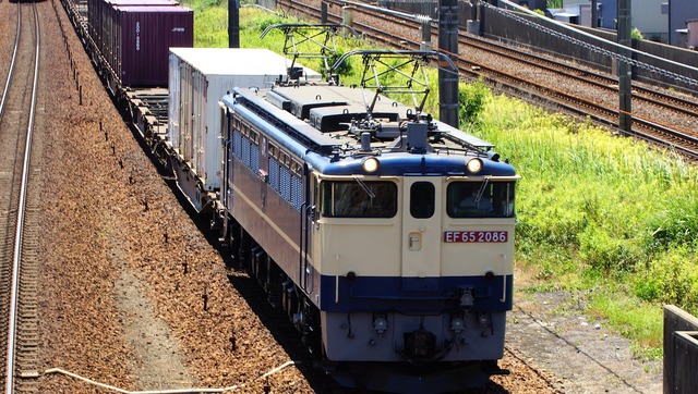東海道本線を縦断するEF65 : Rail Scope