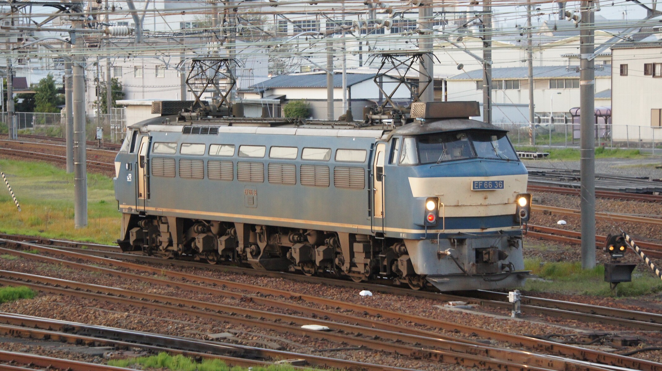 昔の写真 EF66-36 : Rail Scope