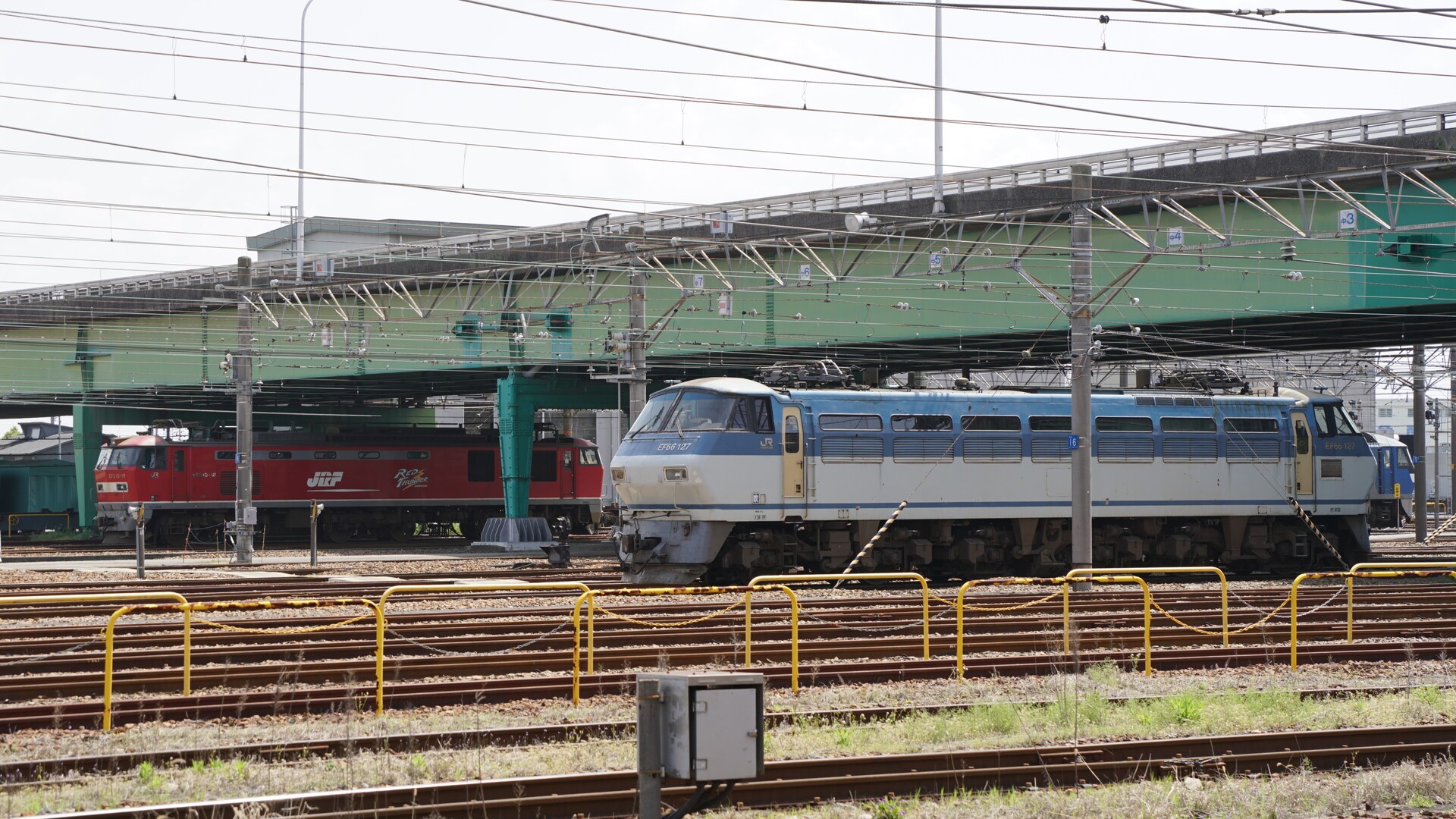 2024年4月17日 EF65-2081 5087レ : Rail Scope
