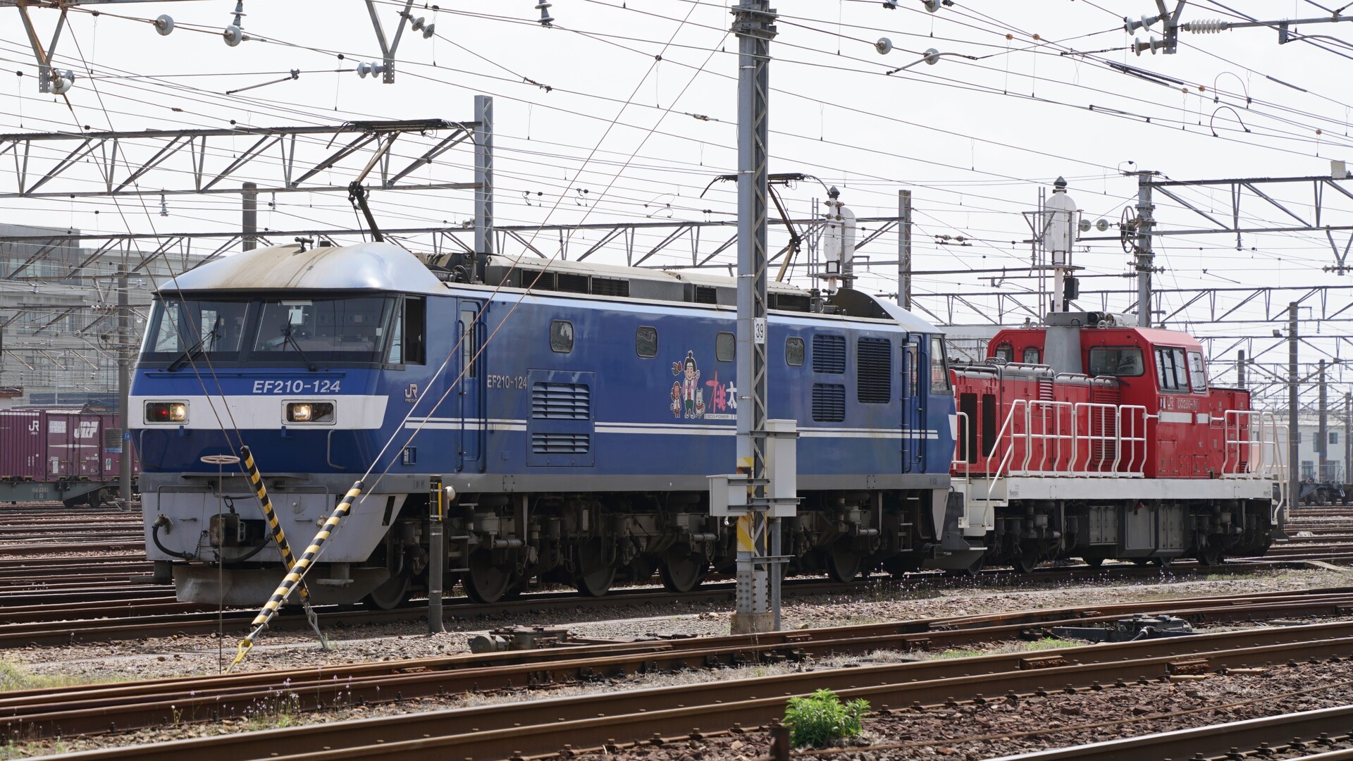 2024年4月17日 EF65-2081 5087レ : Rail Scope