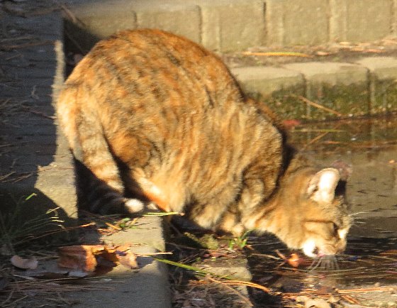 昨日と今日です。（v^_ﾟ)♪ : zan07620shimzのblog