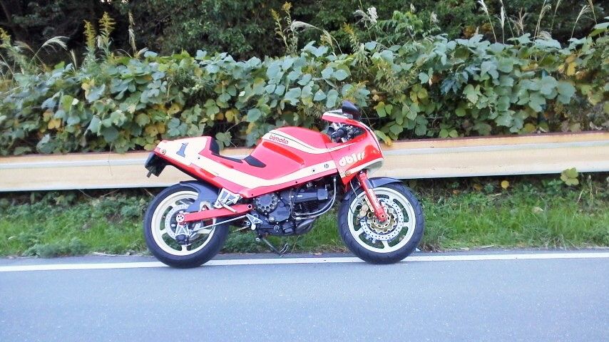 ビモータ DB1-SR 入院-4 : 団塊の世代とDUCATI