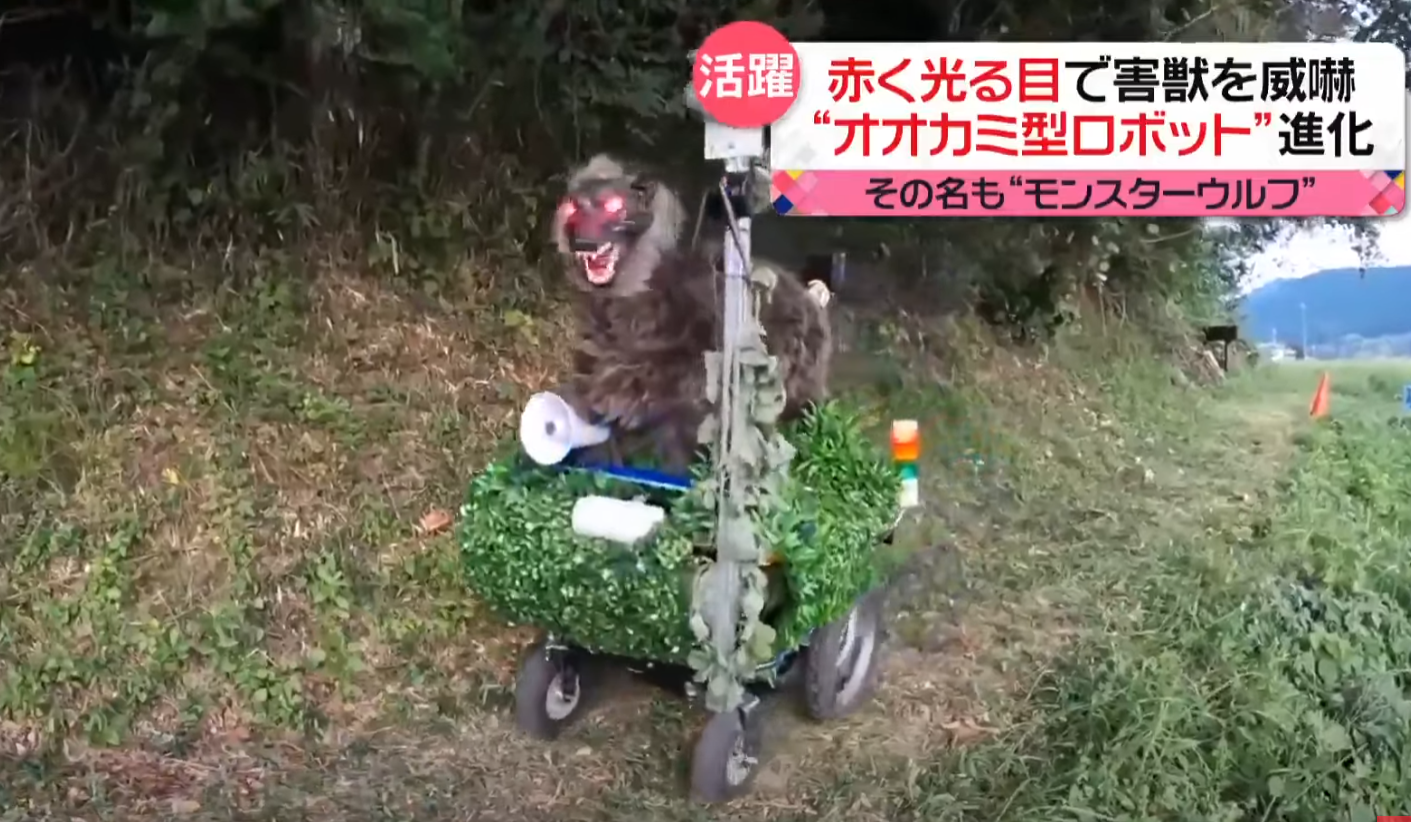 海外反応！ I LOVE JAPAN : 外国人「日本の畑に「モンスターウルフ」という怪物がいるらしい！」